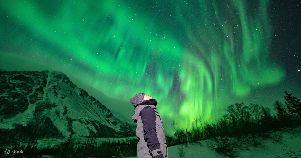 Pengembaraan Melihat Aurora yang Luar Biasa - Klook Amerika Syarikat Pengembaraan Melihat Aurora yang Luar Biasa - Klook Amerika Syarikat